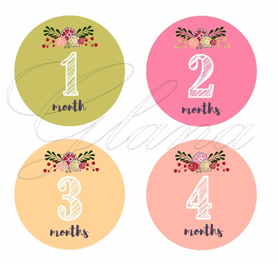 Baby Month Stickers Baby Milestone Stickers Baby Girl Pink | Etsy