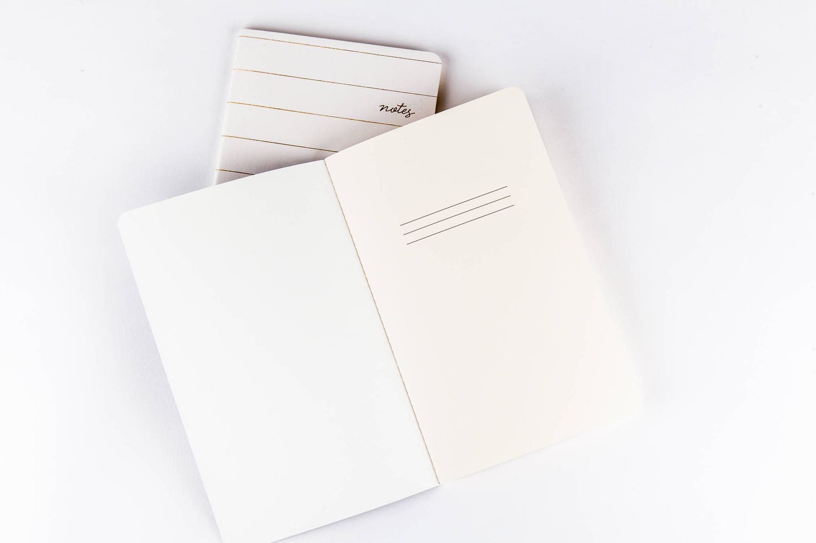 Lined White Notebook Vegan Leather Notebook Gold Foil Notebook Back to ...