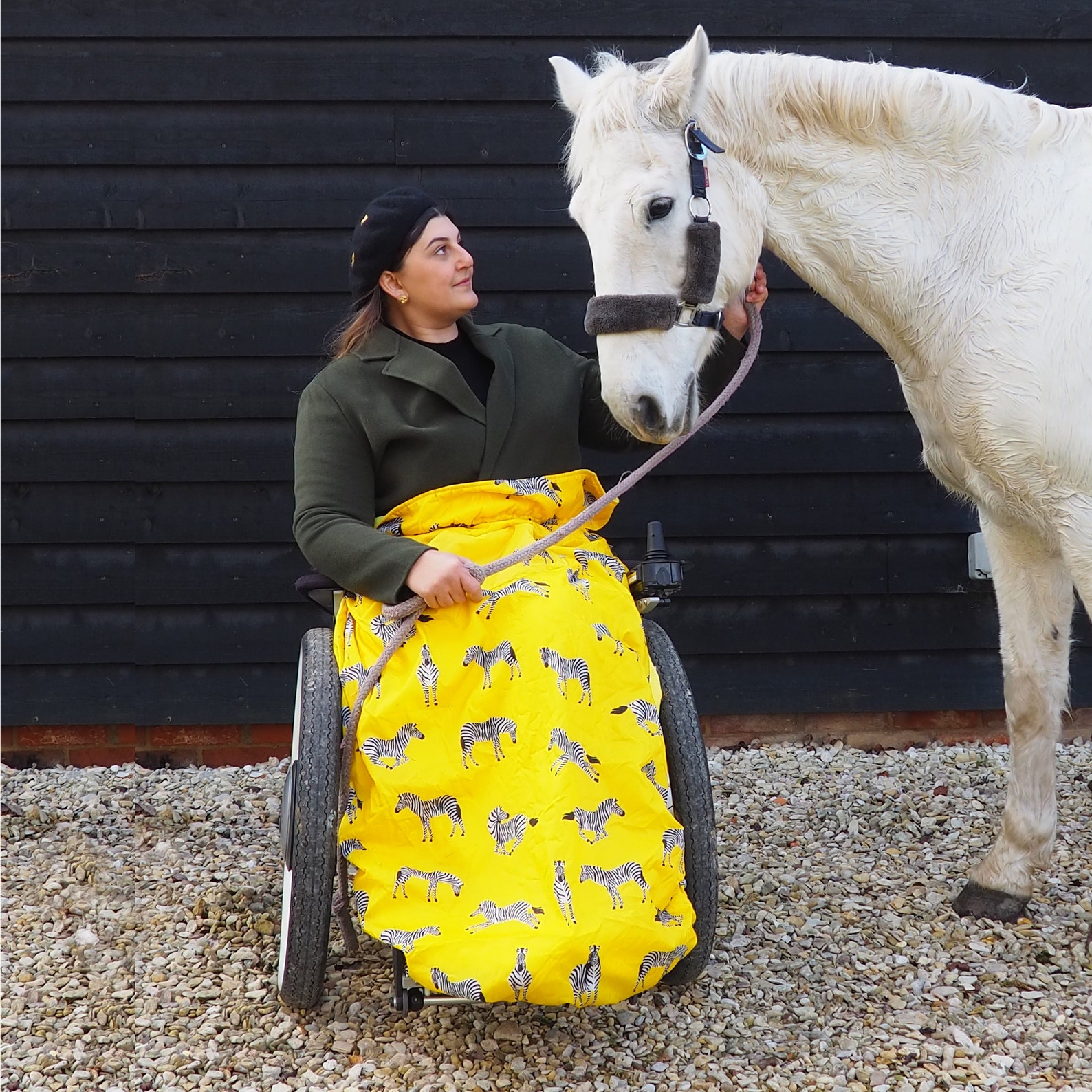 Bundlebean Adult Fleece-lined Wheelchair Cosy - YELLOW ZEBRA - Etsy UK