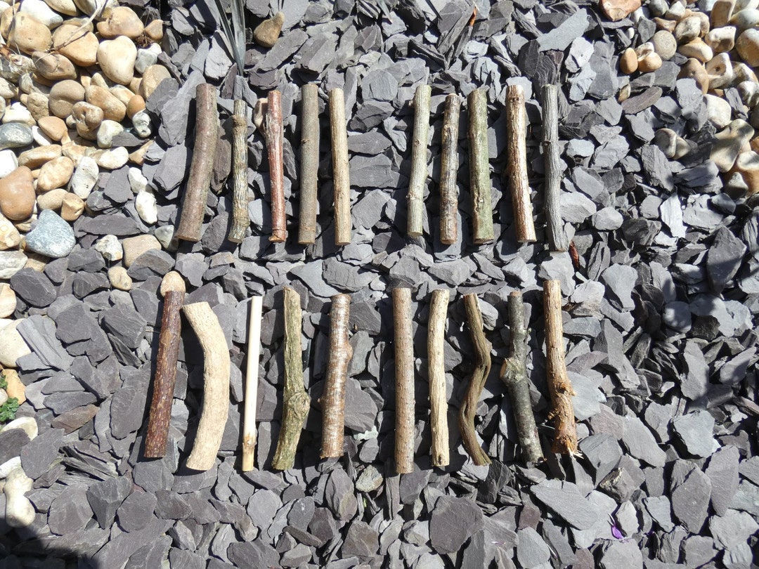 DIY Celtic Ogham Staves Set of 20 British Woods for Pagan Rituals - Etsy