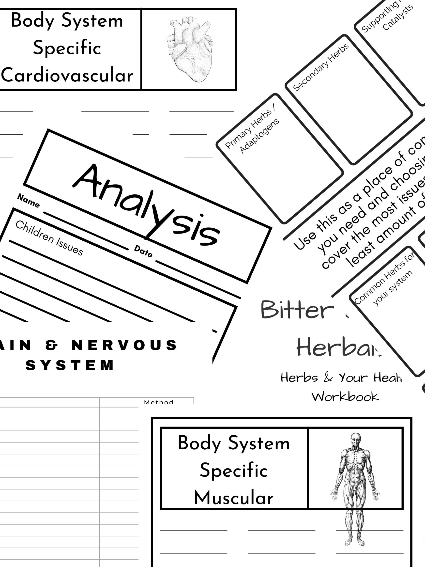 Herbs and Your Health Workbook - Self Study Guide - Etsy