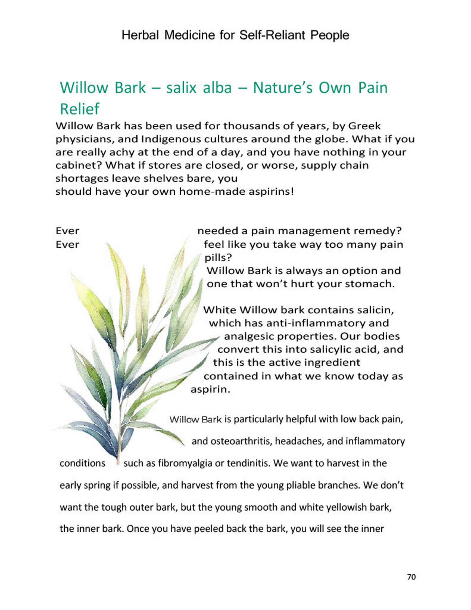 Preparedness, Herbal Medicine, Herbs, Self-reliance, Alternate Medicine ...