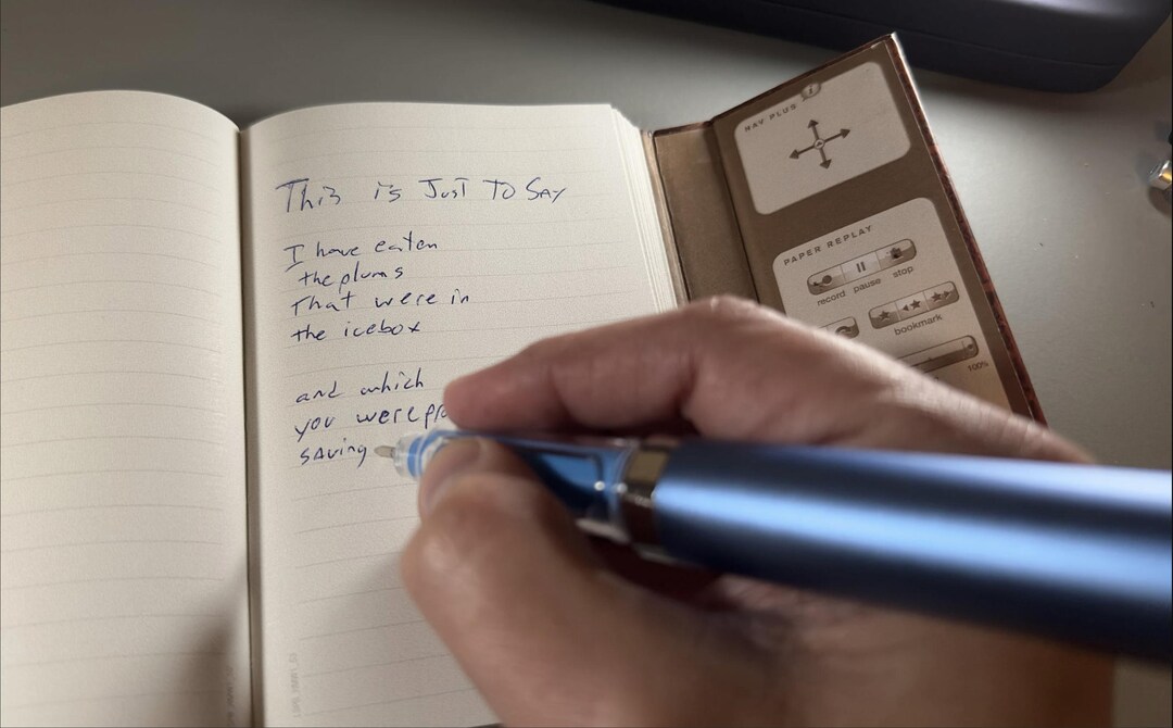 Custom Ink Pen, Based on an Injection Pen for Diabetes, Peptides. Pen ...