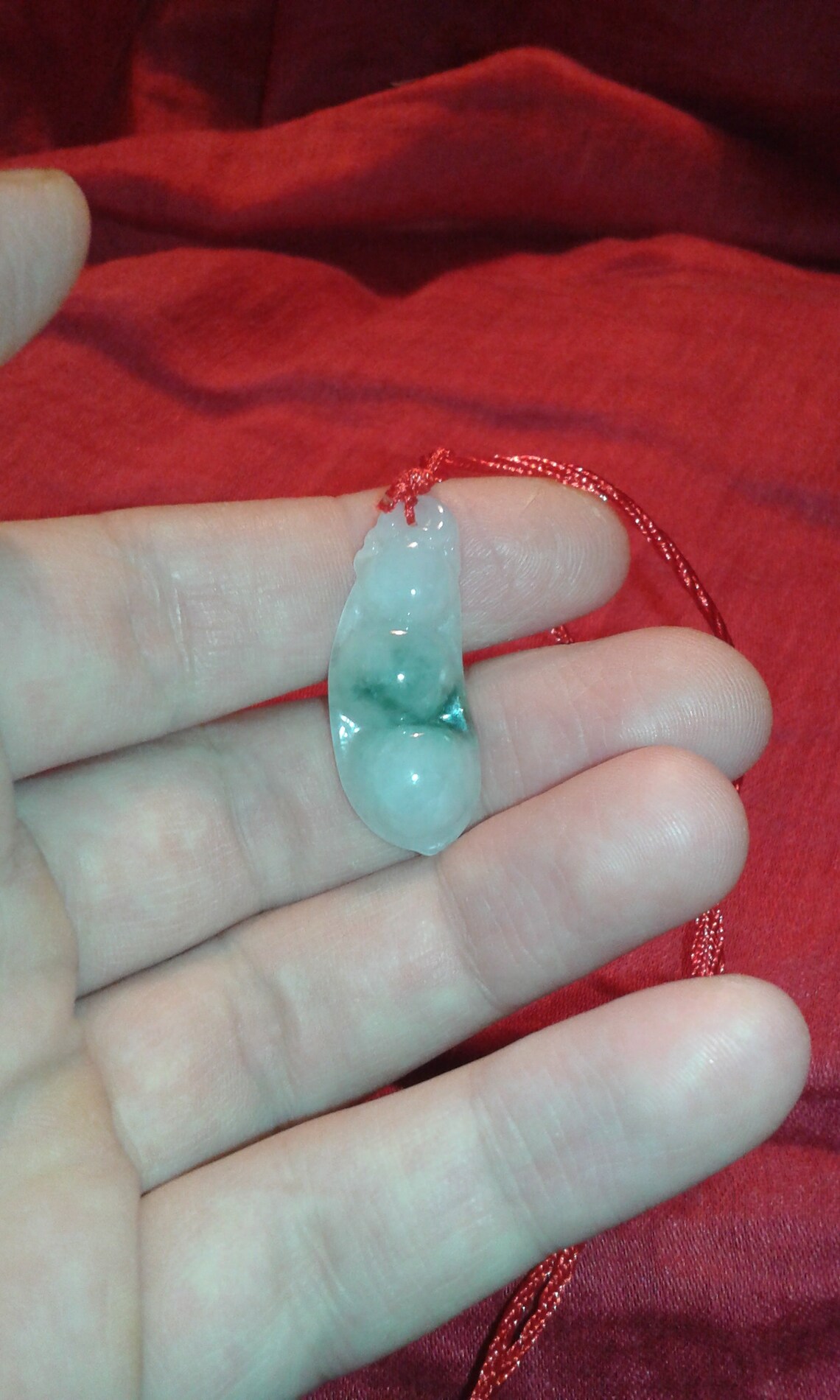 Jadeite A Jade Edamame Soy Bean Pod Vegetable Vegetarian Vegan | Etsy UK