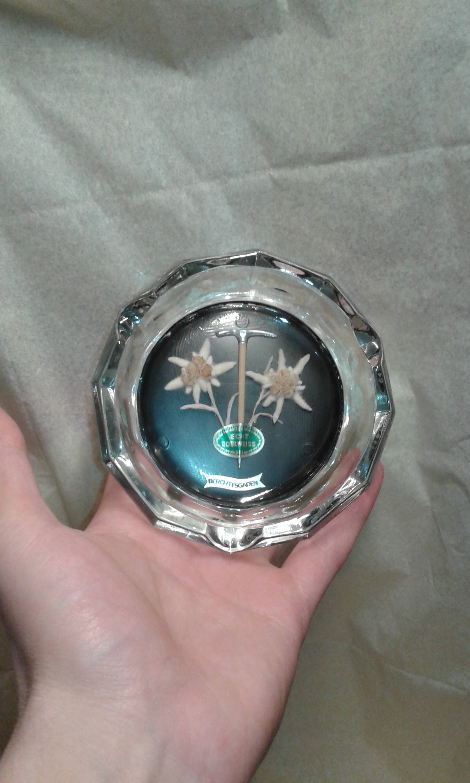 Austrian Crystal Swiss Edelweiss Dried Flower Cut Crystal - Etsy