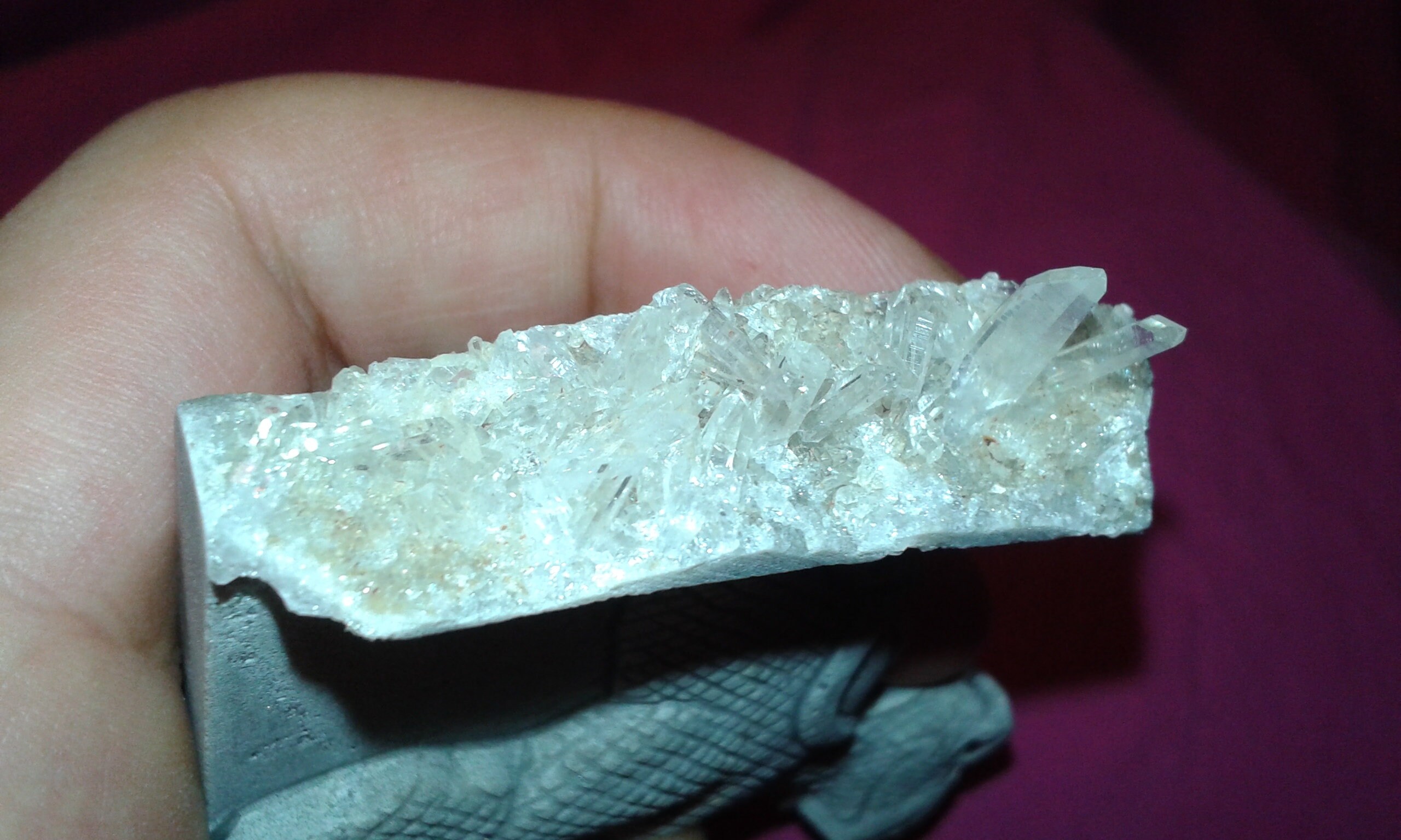 Yee Cute Dinosaur Cartoon Carving Online Song Meme T-rex and - Etsy