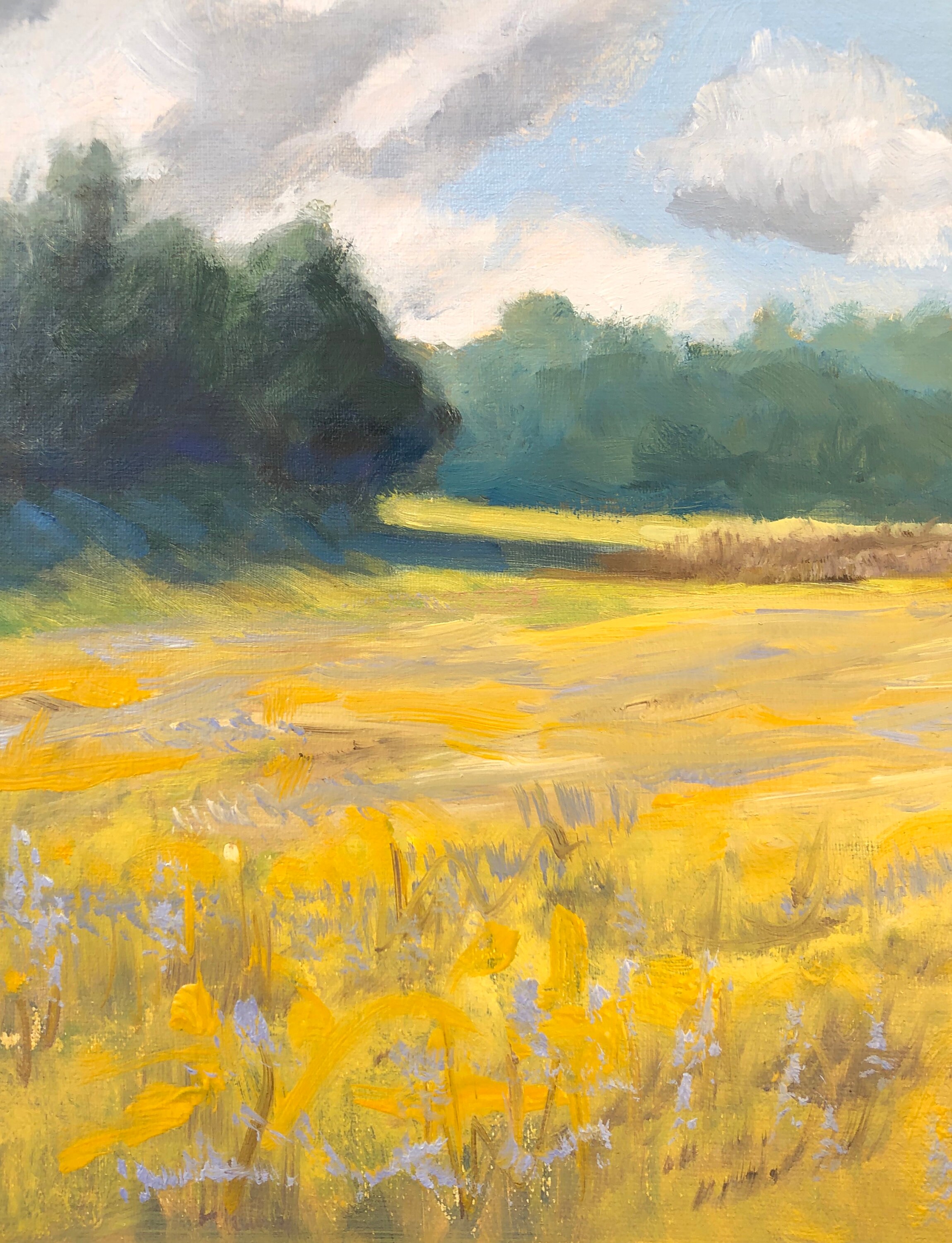 The Golden Field - Etsy