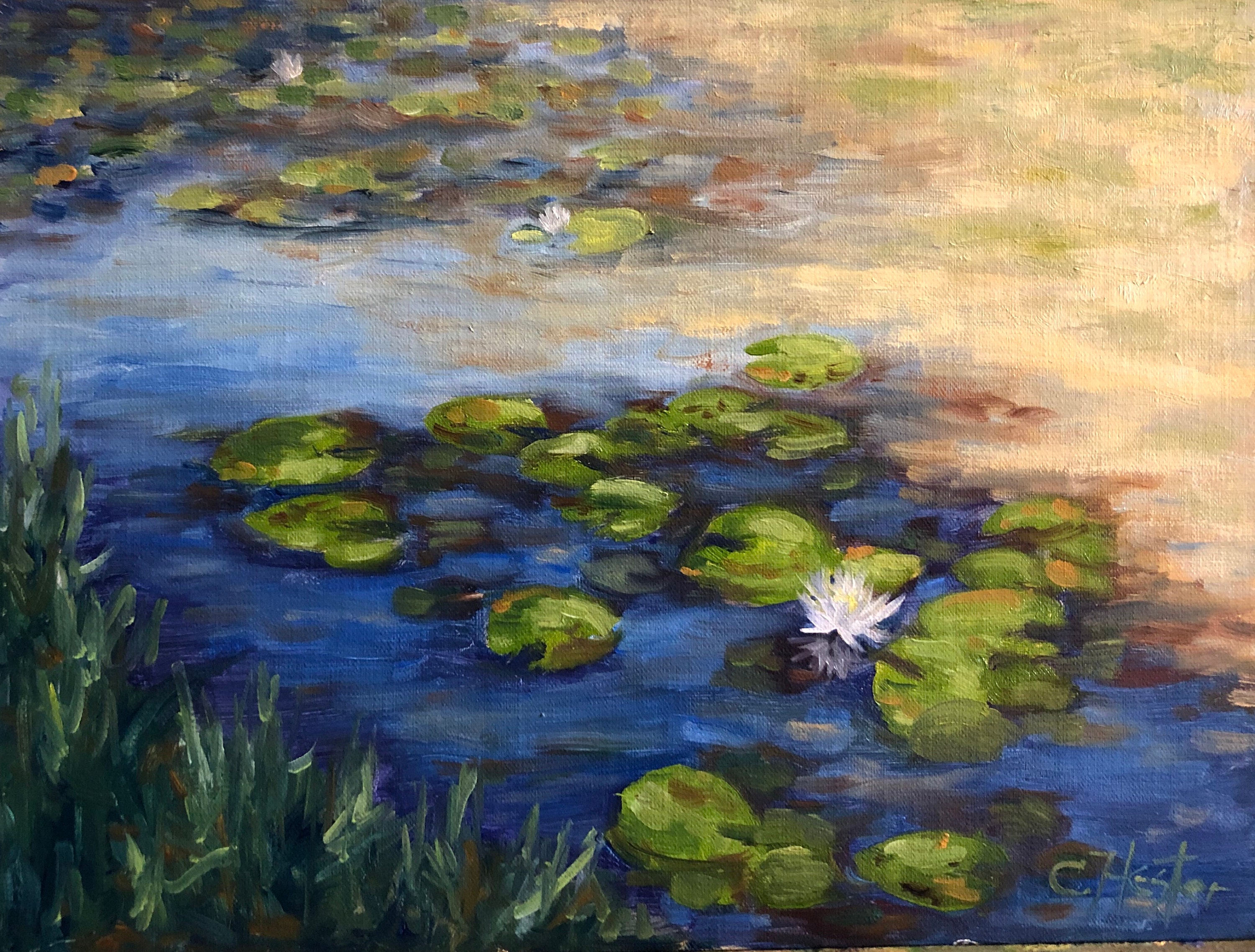 Lily Pond Colors #1 - Etsy