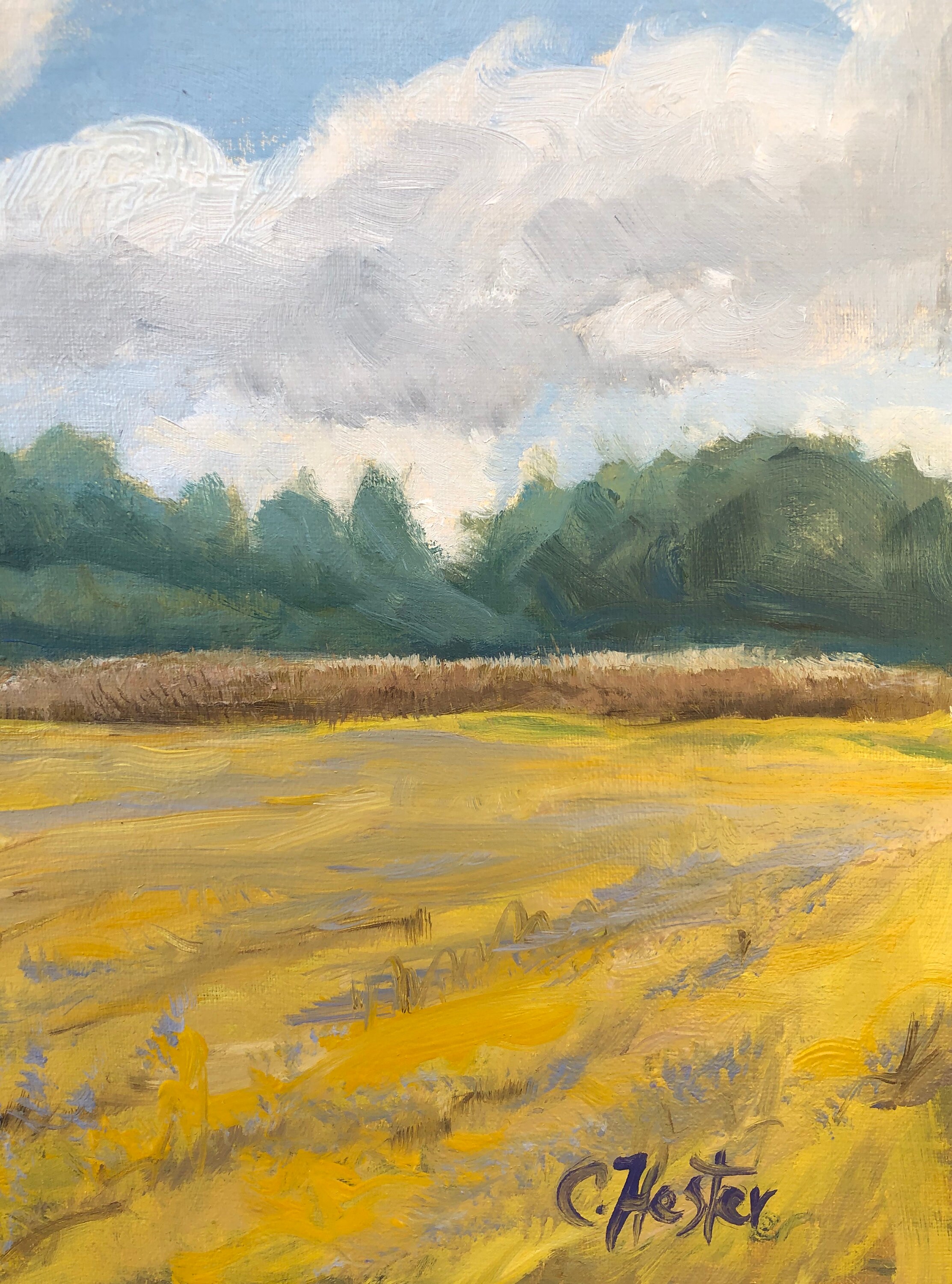 The Golden Field - Etsy