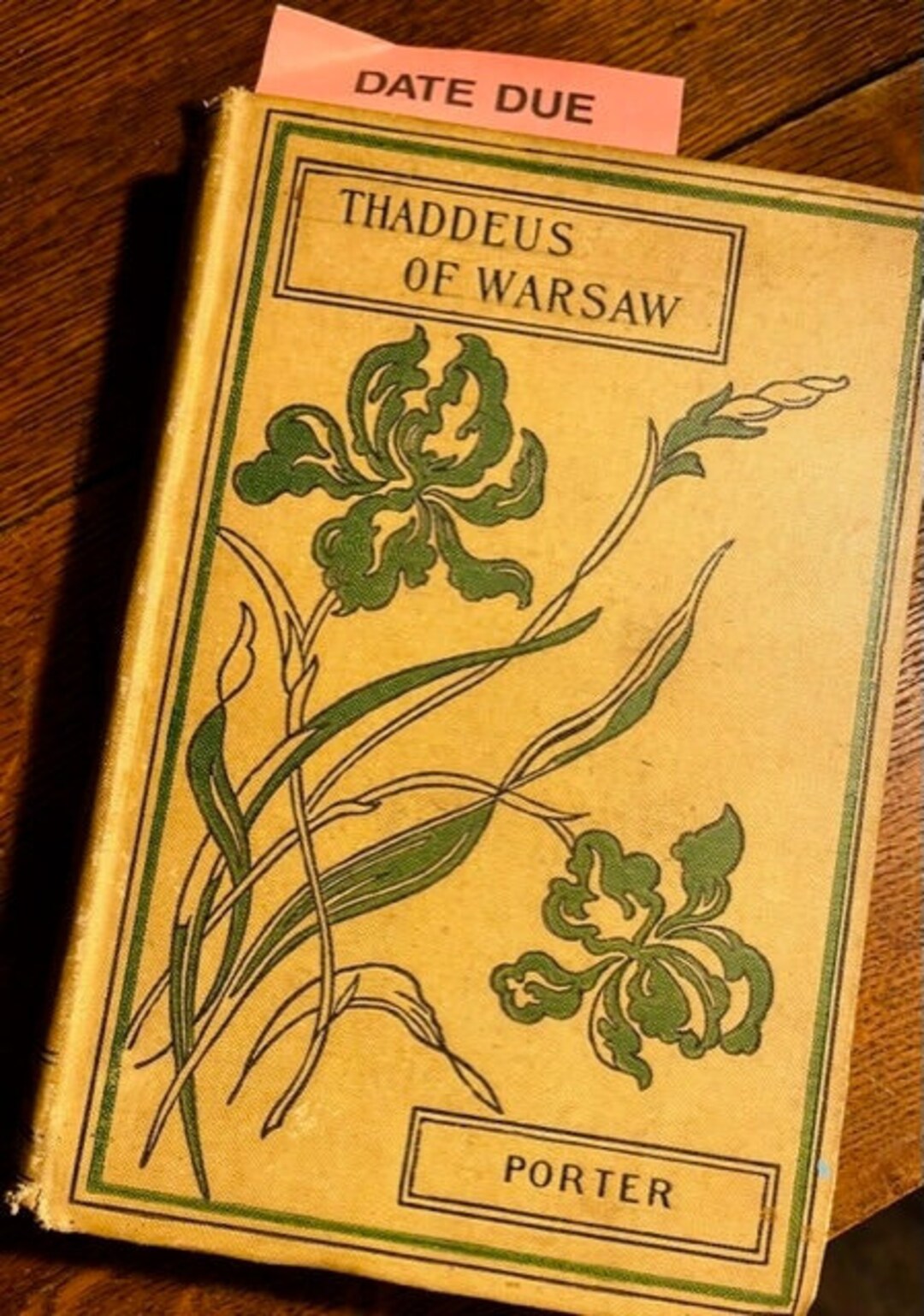 Thaddeus of Warsaw by Jane Porter - Etsy