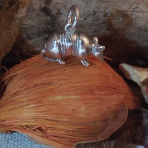 Sterling Silver Armadillo Necklace, Silver Texas Armadillo Charm ...