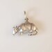 Sterling Silver Armadillo Necklace, Silver Texas Armadillo Charm ...