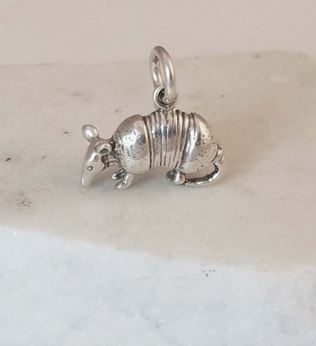 Sterling Silver Armadillo Necklace, Silver Texas Armadillo Charm ...