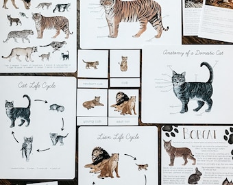 ANIMAL HOMES Unit Study, Nature Study, Science, Handwriting, Homeschool ...