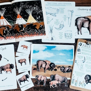 Bison Unit Study - Etsy