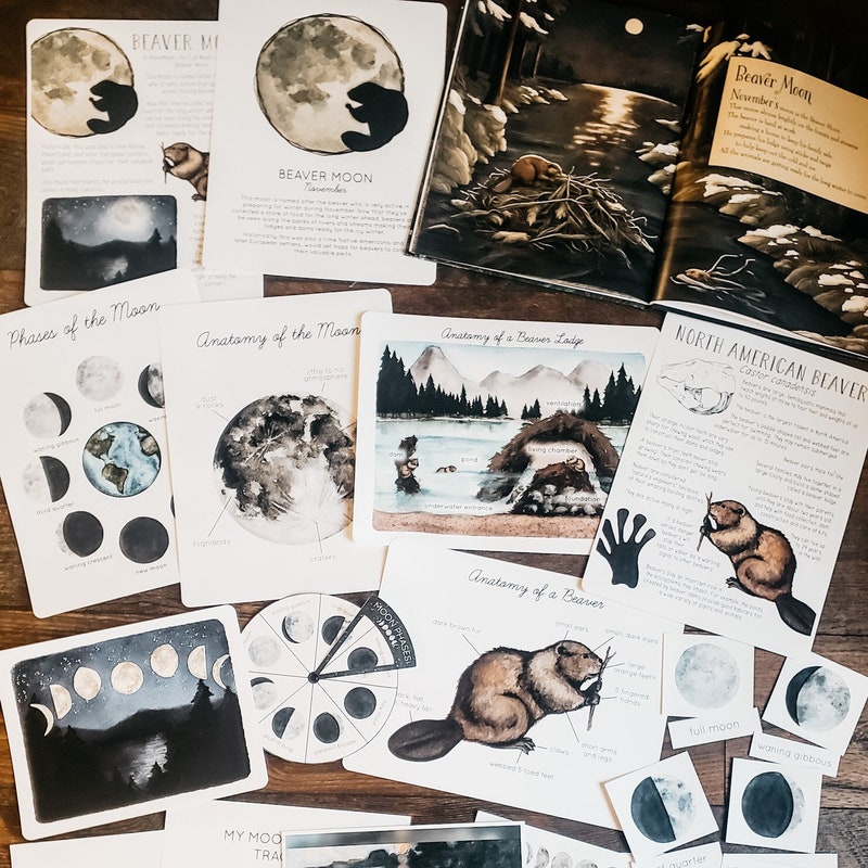 Beaver Learning - Etsy