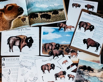 Native Americans Unit Study, Thanksgiving Unit, Bison Unit Study ...