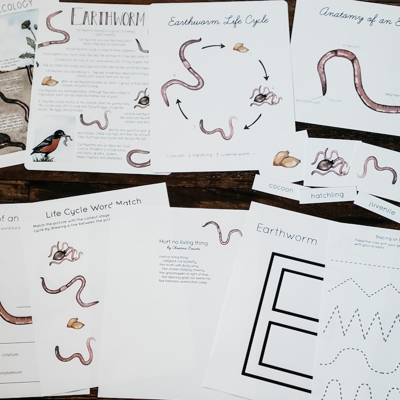 StephHathawayDesigns - Etsy UK