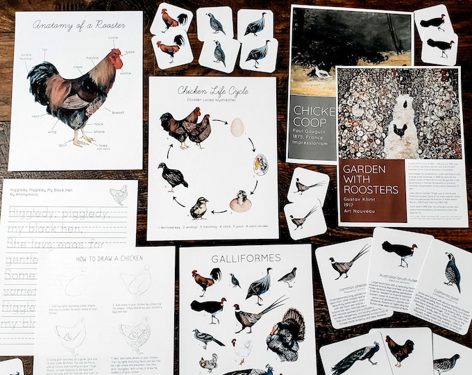 Chicken Study Printable Homeschool Worksheets Nature Study Charlotte ...