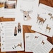 White-tailed Deer Unit Study Bundle - Etsy