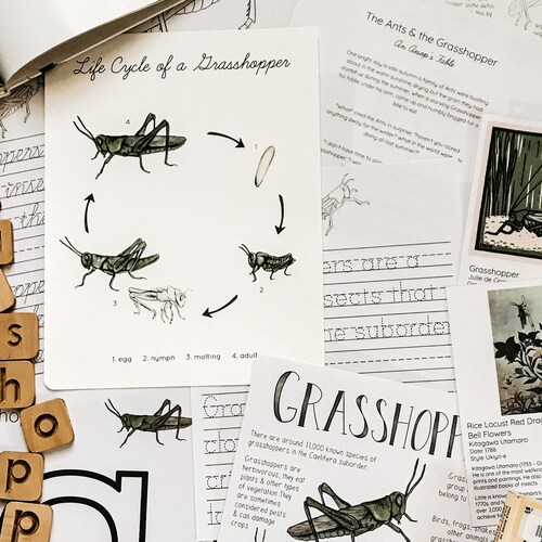 Color Theory Unit Study | Etsy