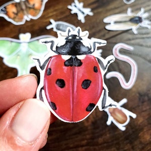 Minibeast Sticker Pack Set of 13 - Etsy