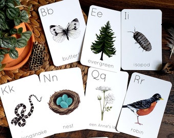Printable Alphabet Flashcards/nature Flashcards/forest Theme/forest ...