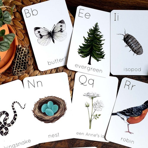Alphabet Nature Flashcards Alphabet Nature Flashcards - Etsy Australia