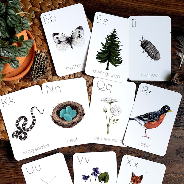 Alphabet Flashcards - Etsy