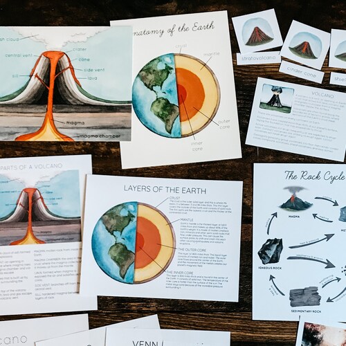 MINI Pond Unit Study Physical Bundle - Etsy