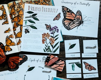 Anatomy of a Butterfly Monarch Butterfly Study Printable Nature Science ...