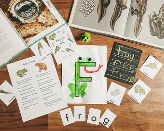 Pond Unit Study Bundle | Etsy