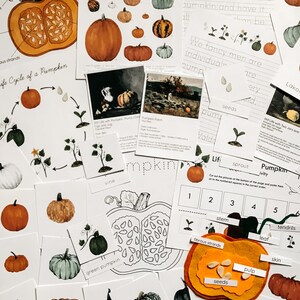 Autumn Harvest Bundle - Etsy