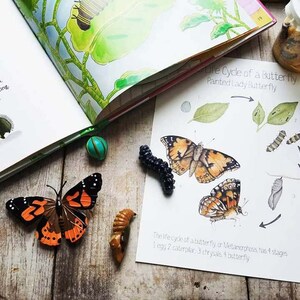 Painted Lady Butterfly Unit Study Bundle - Etsy