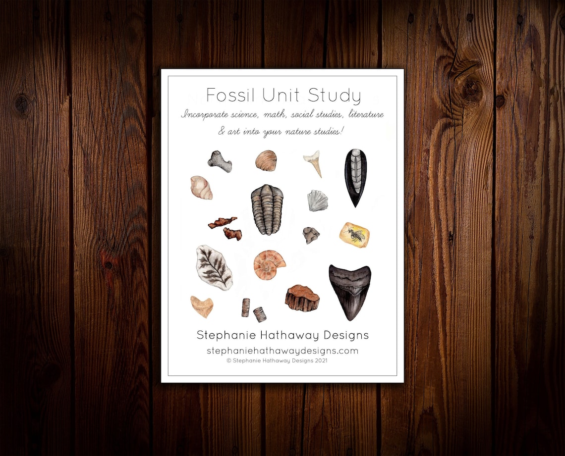 Fossils Exploration Unit Study - Etsy
