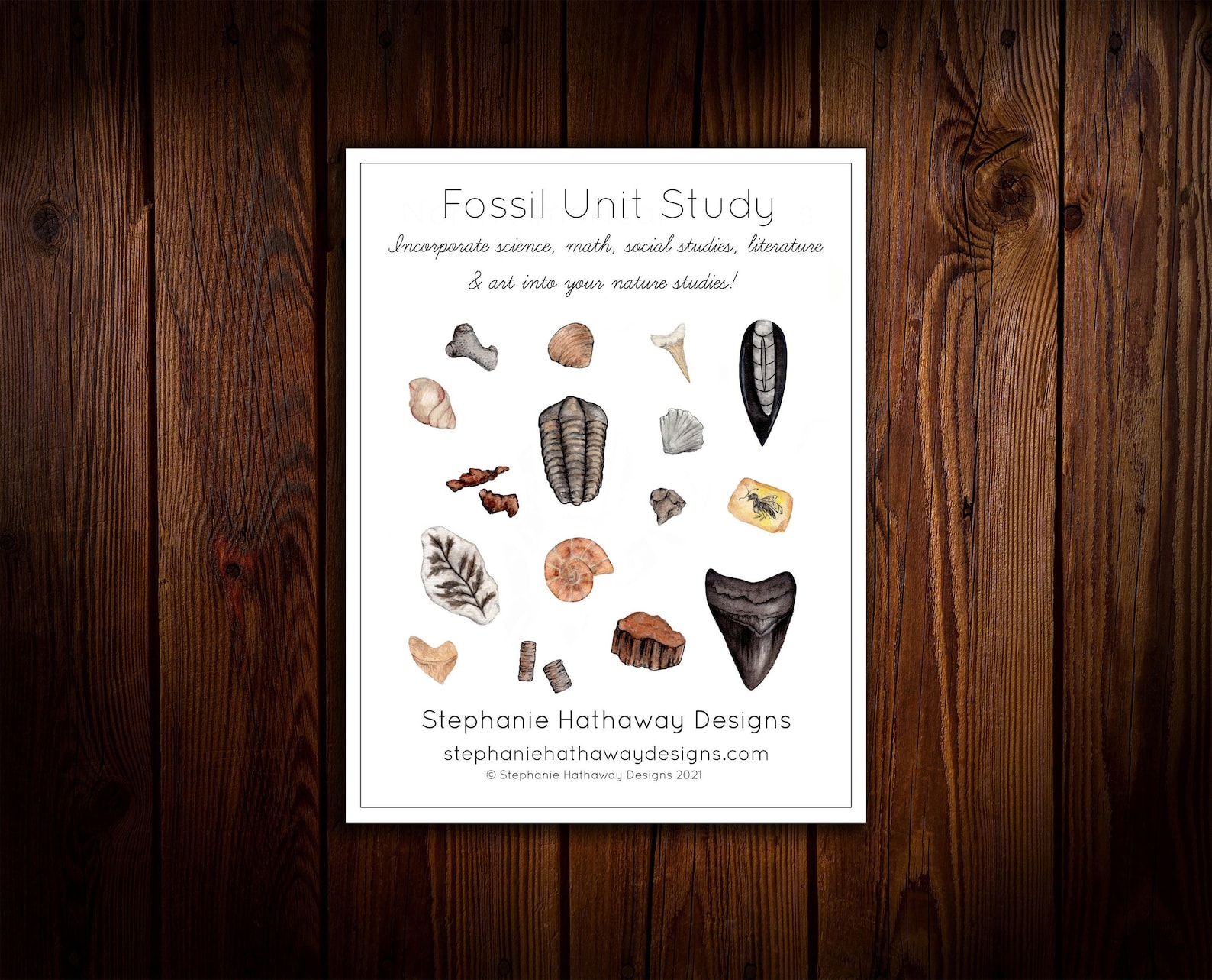 Fossils Exploration Unit Study - Etsy