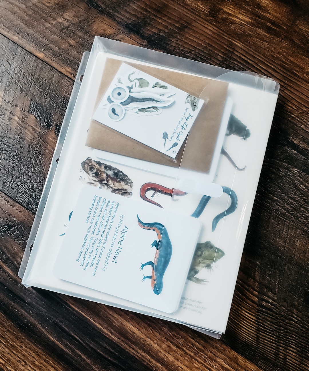 Amphibians Unit Study Physical Bundle - Etsy