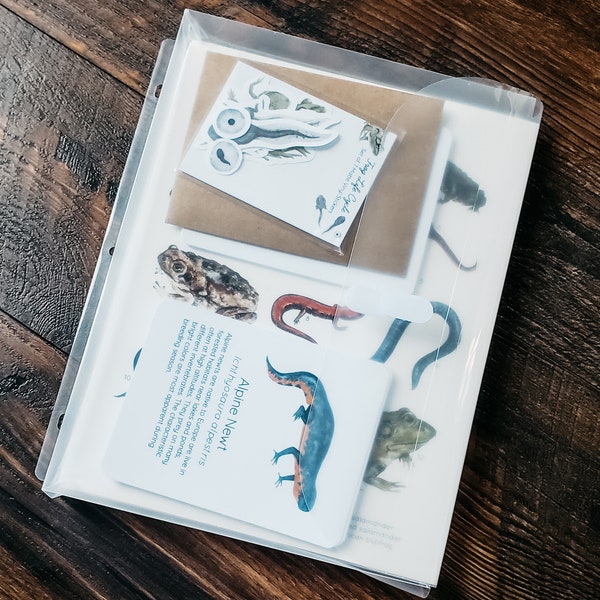 Amphibians - Etsy