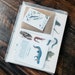 Amphibians Unit Study Physical Bundle - Etsy