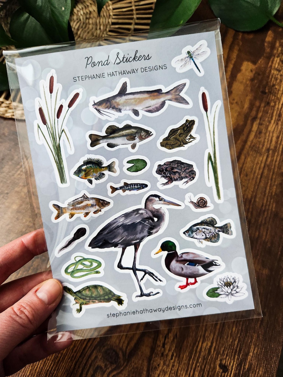 Pond Sticker Sheet - Etsy