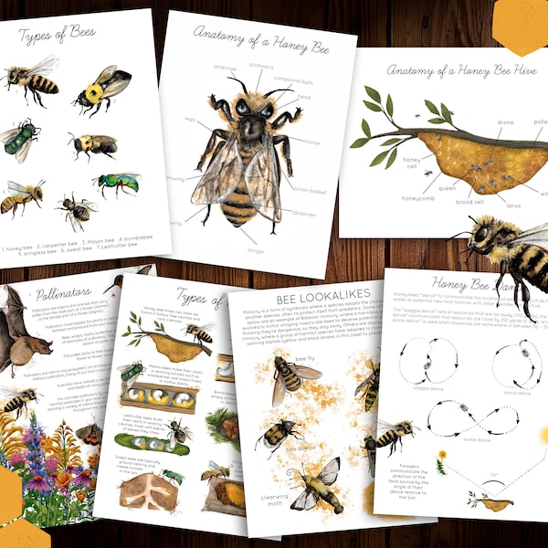 Honey Bee Unit - Etsy