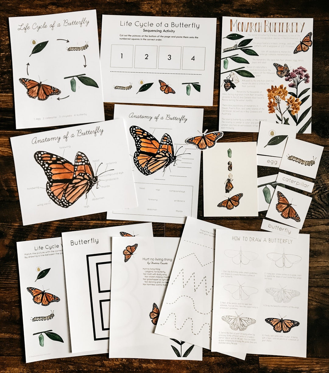 Monarch Butterfly Mini Physical Bundle - Etsy