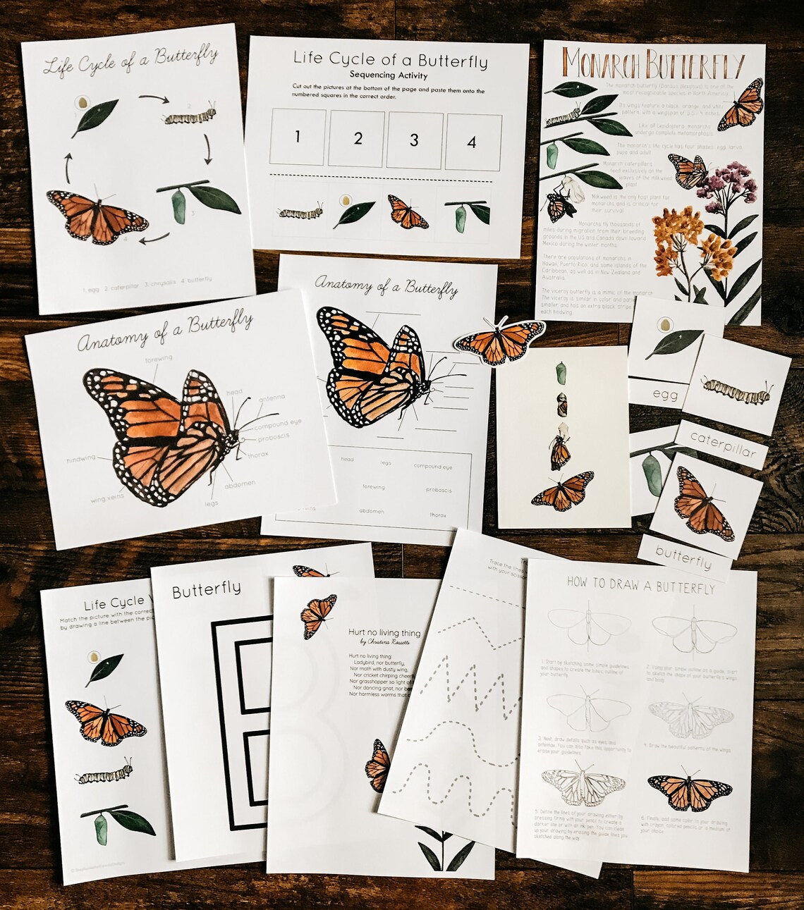 Monarch Butterfly Mini Physical Bundle - Etsy