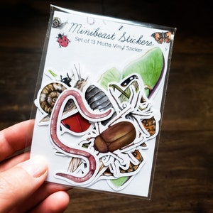 Minibeast Sticker Pack Set of 13 - Etsy