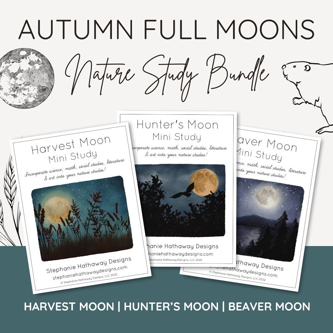 Autumn Full Moon Bundle - Etsy