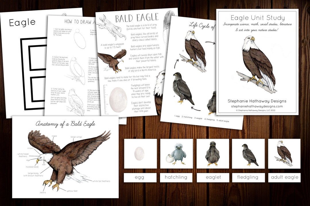 Eagle Unit Study - Etsy
