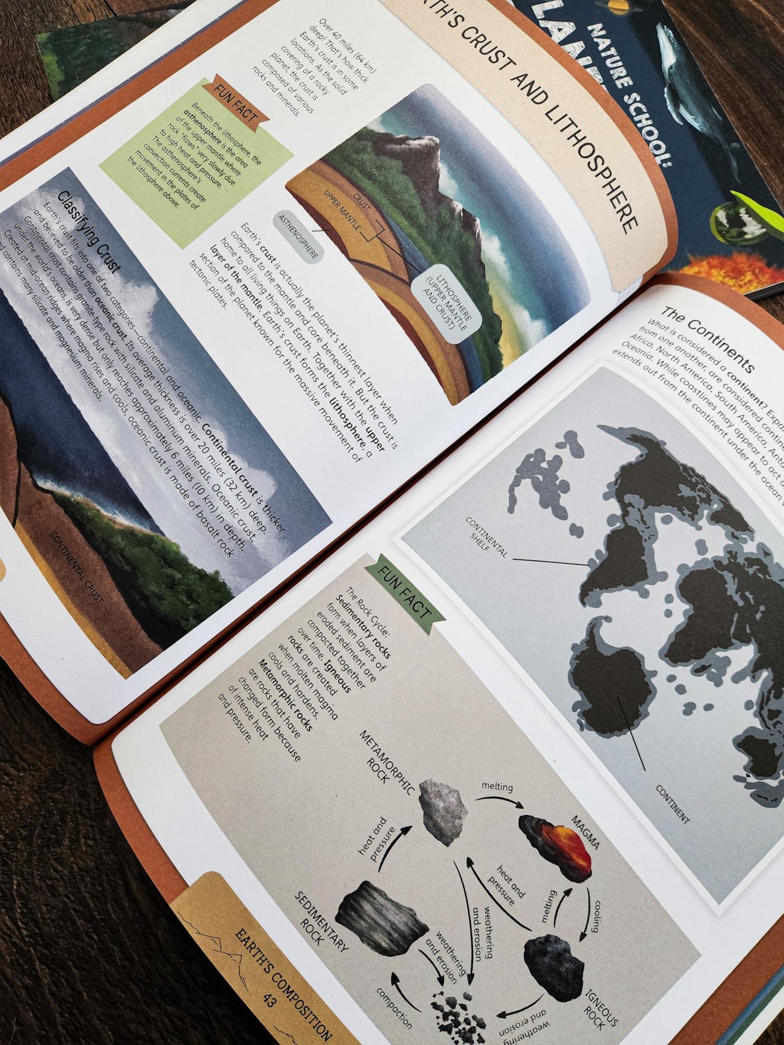 Planet Earth & Workbook Bundle - Etsy