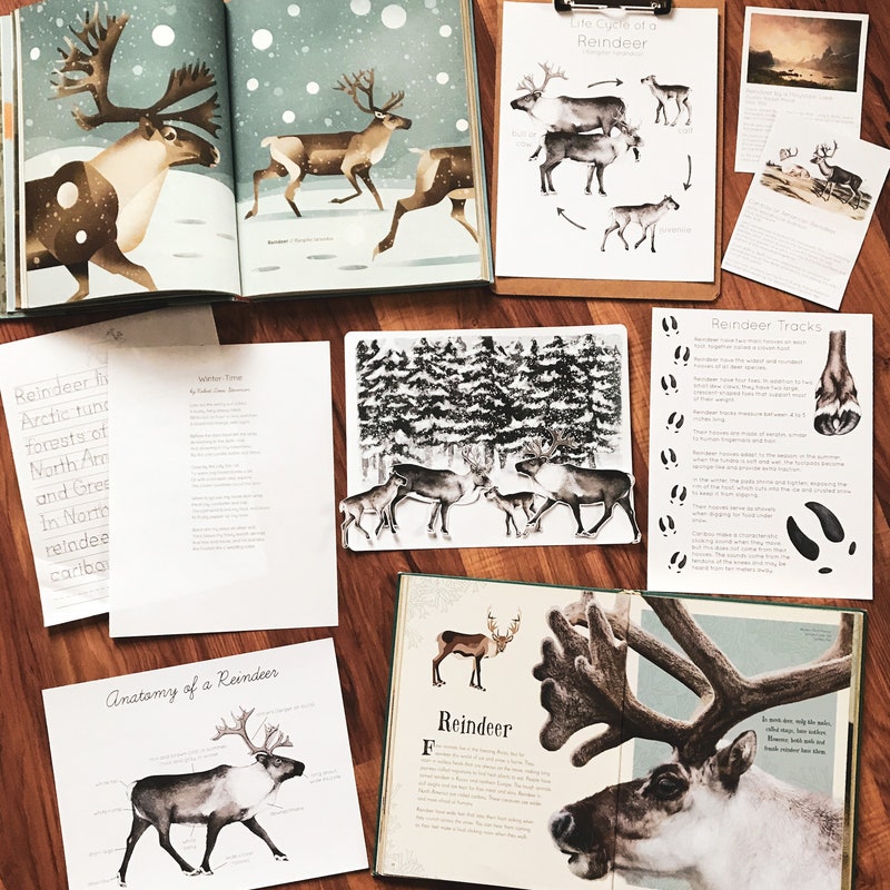 Reindeer Christmas Unit - Etsy