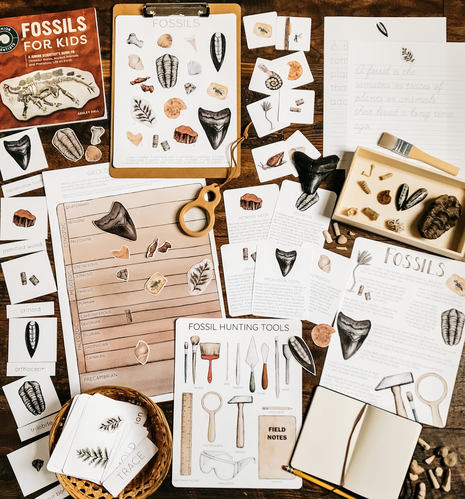 Earth Science Bundle - Etsy