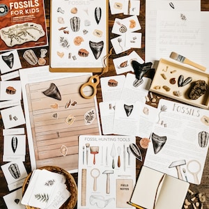 Earth Science Bundle - Etsy